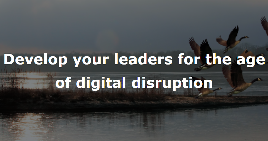 Develop leaders for the age of digital disruption • ORCHANGO